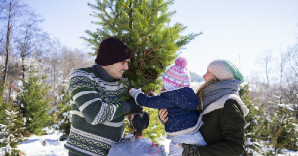 Formulier kerstbomeninzamelactie 2024 - ACV Groep