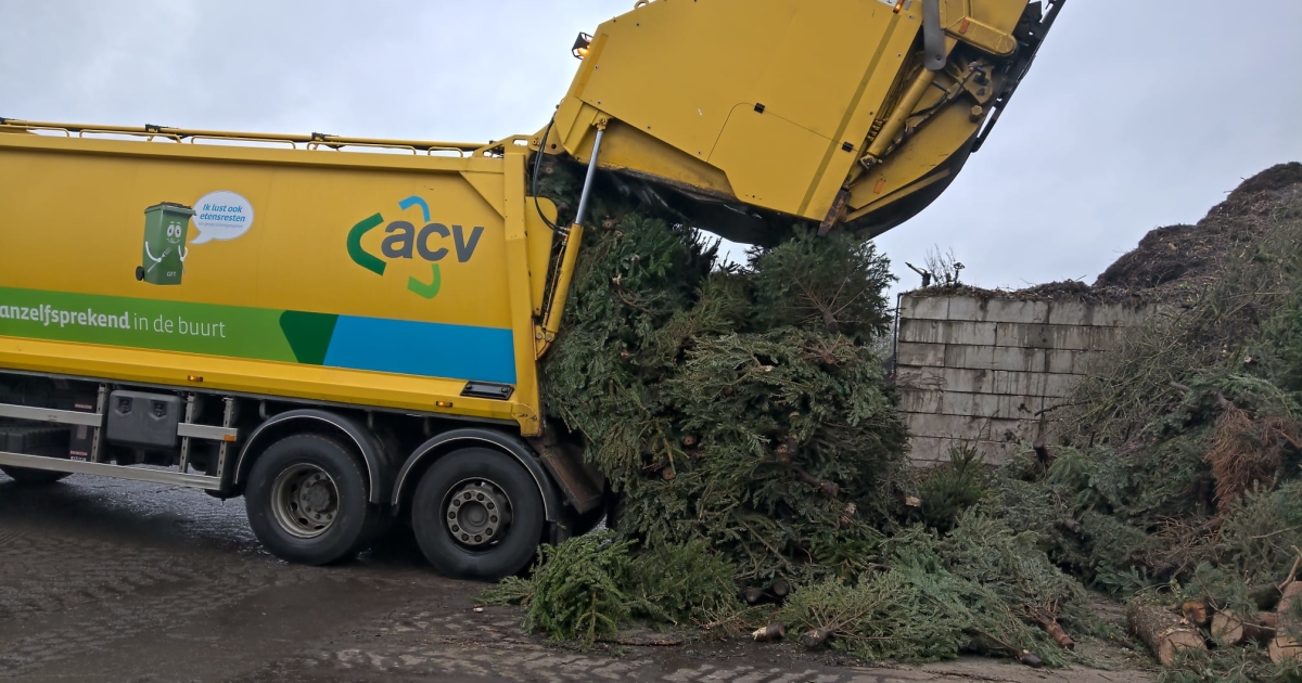 Kerstbomeninzamelactie 2023 een groot succes - ACV Groep
